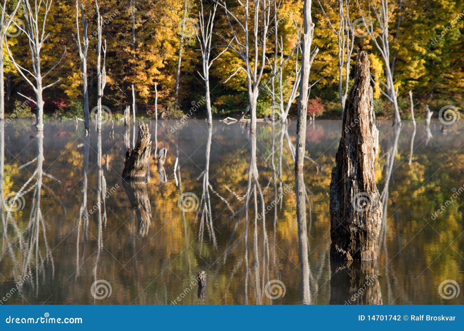 Bizarre Reflections at Monksville Reservoir Stock Photo - Image of ...