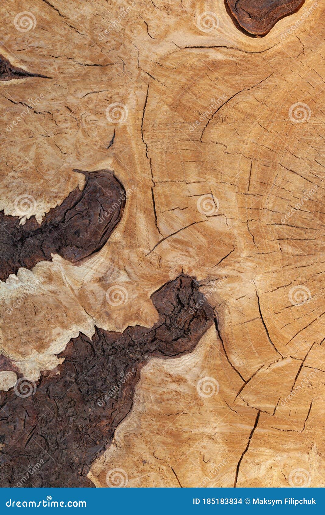 Bizarre wooden texture stock photo. Image of nature - 185183834
