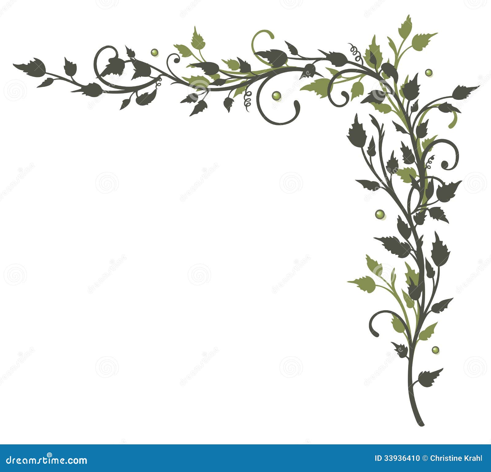 Blätter, Ranke, Frühling Stockfoto - Bild: 33936410