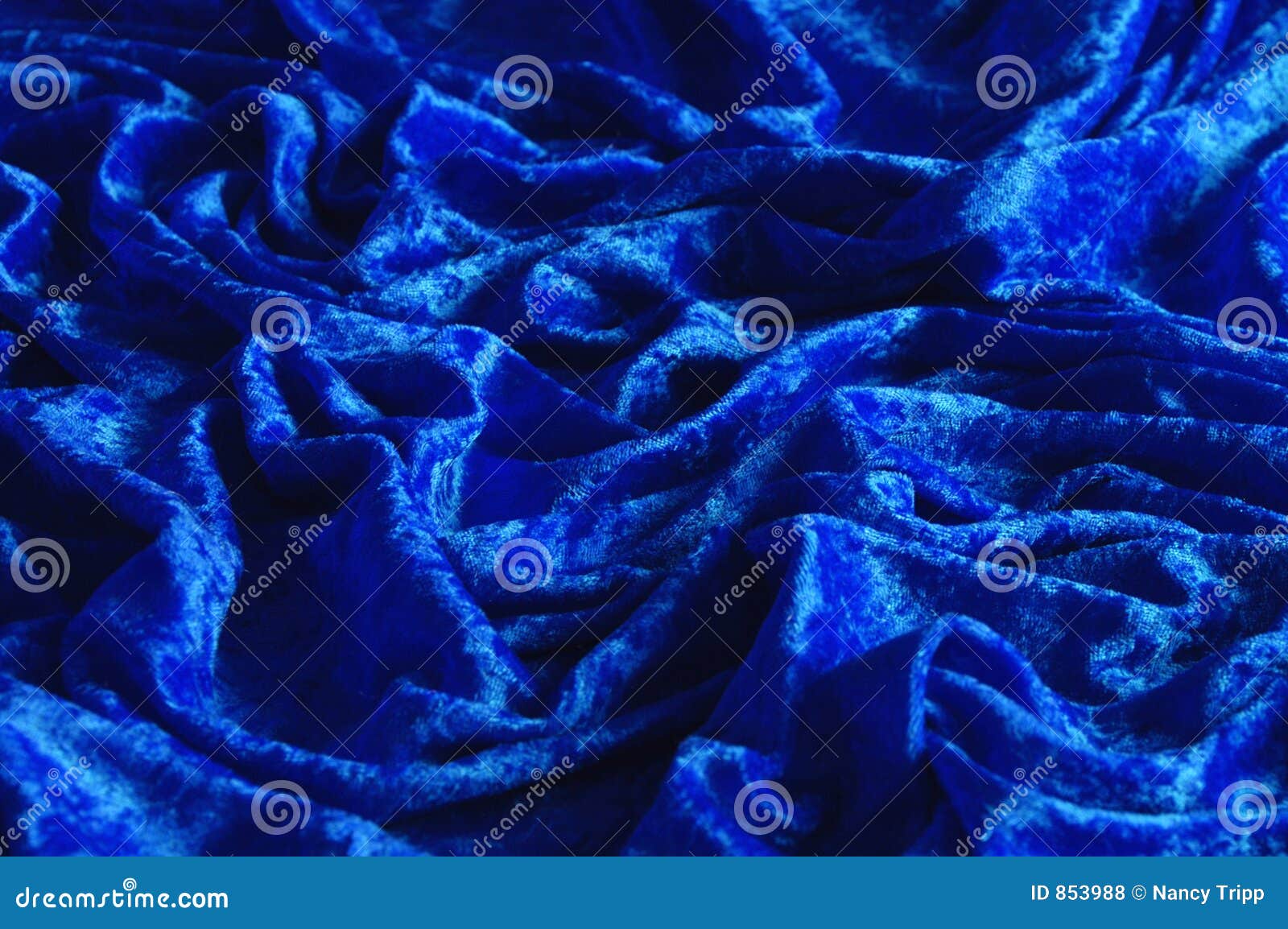 Blå krossad sammet arkivfoto. Bild av yule, festligt, brigham - 853988