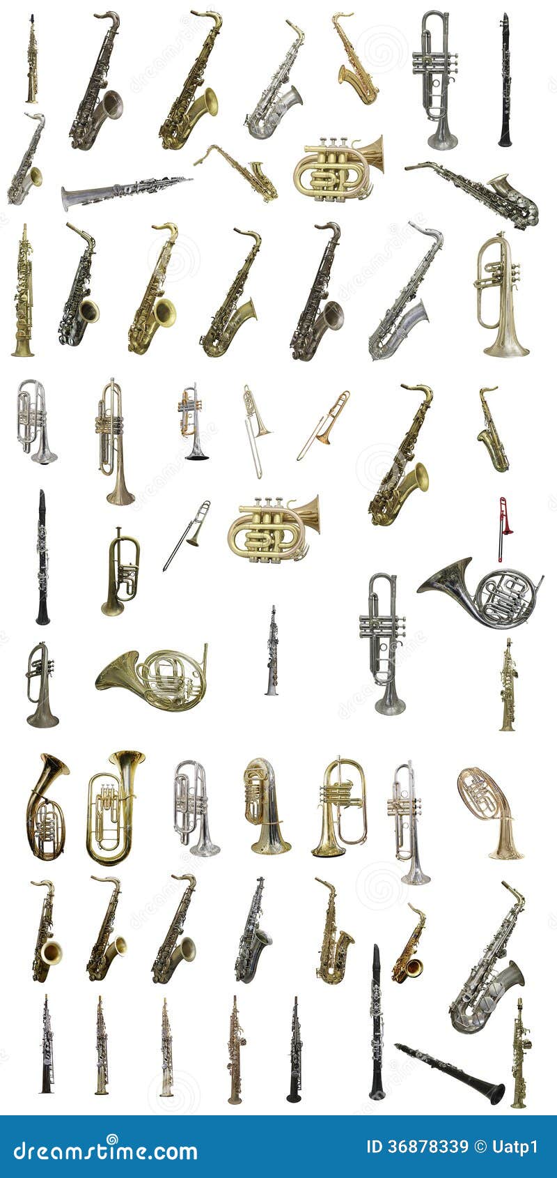 Blåsinstrument fotografering för bildbyråer. Bild av inbilla - 36878339