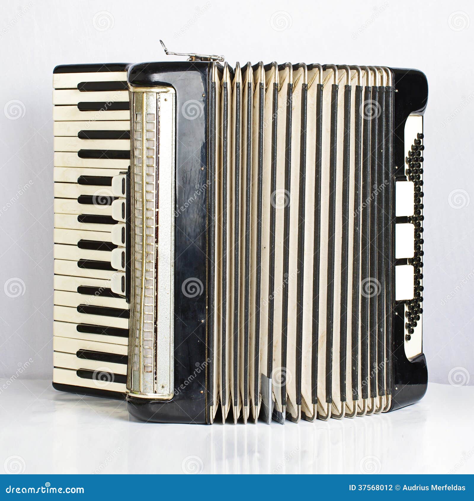 Black accordion opened stock photo. Image of chord, folk - 37568012