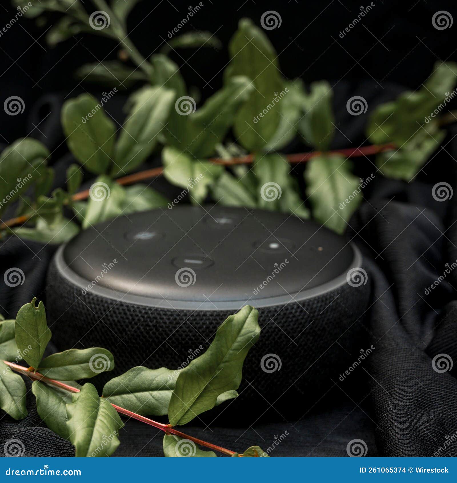 Black Amazon Echo Dot with Alexa Assistant Isolated on a Black ...