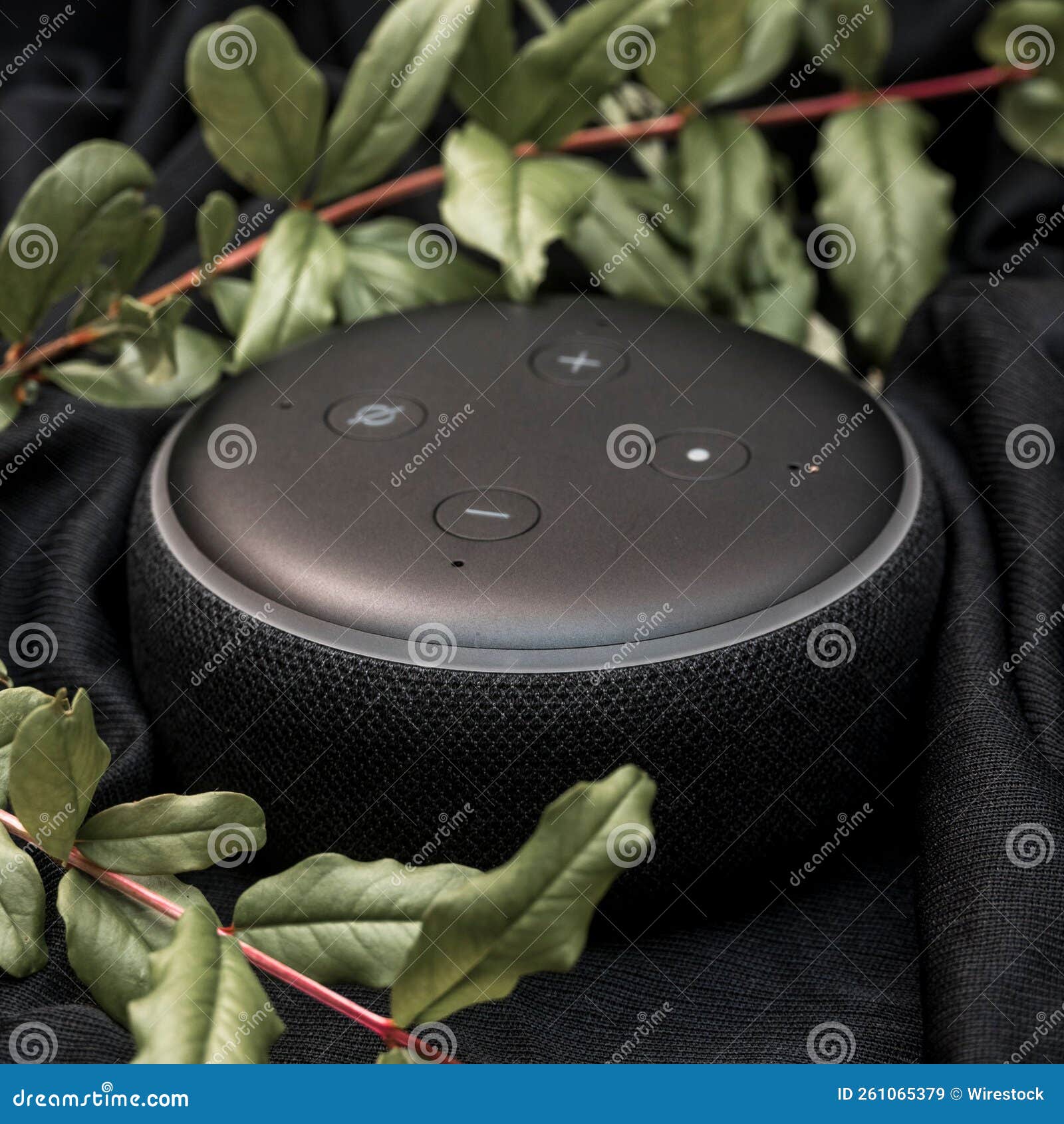 Black Amazon Echo Dot with Alexa Assistant Isolated on a Black ...