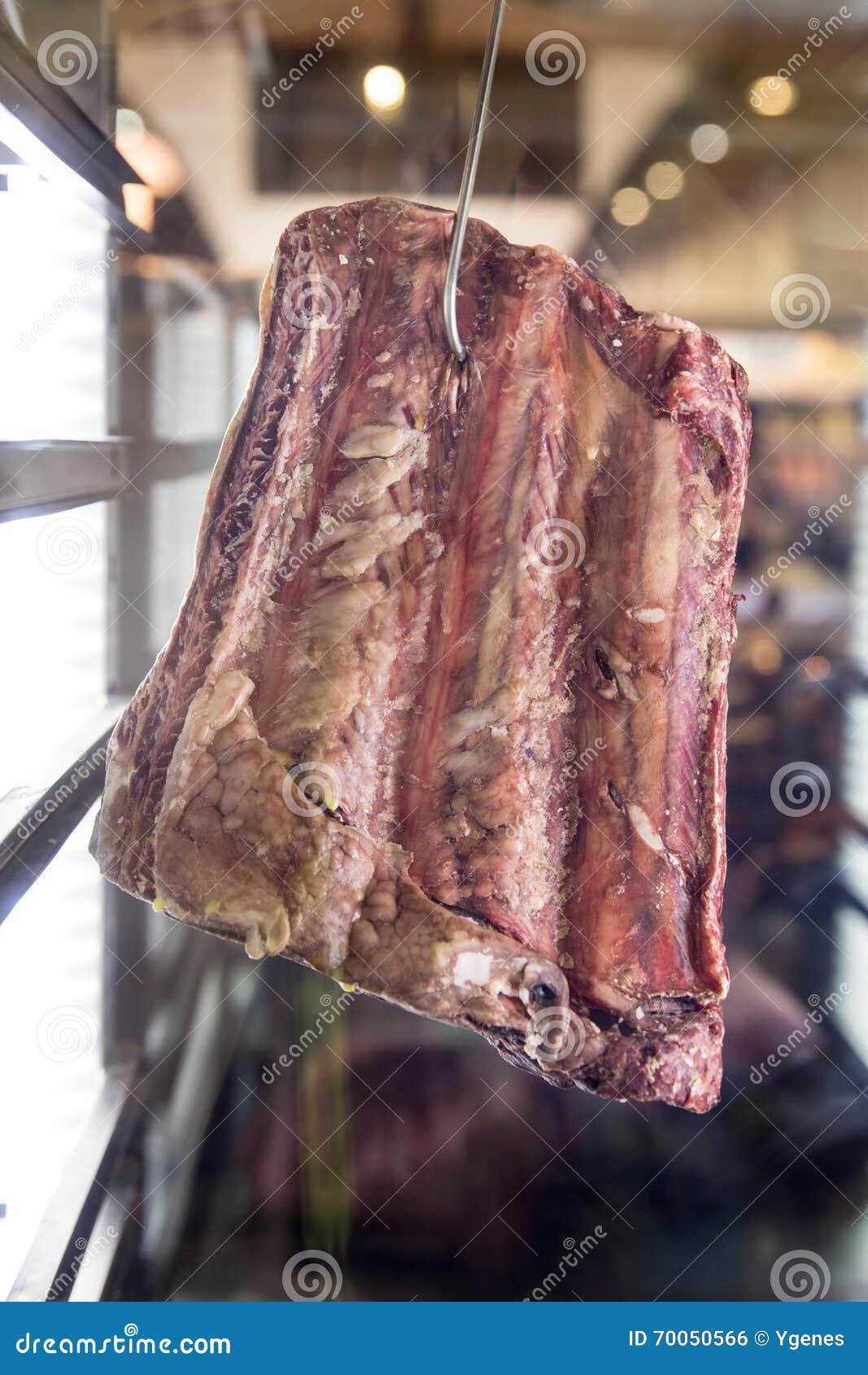 Black Angus Beef, Ribs stock photo. Image of eating, steak - 70050566