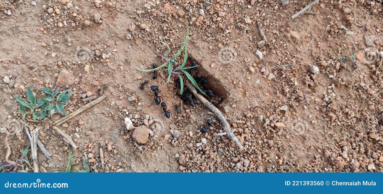 Black Please Do Not Remove Chairs From The Conference Room Sign Stock ...