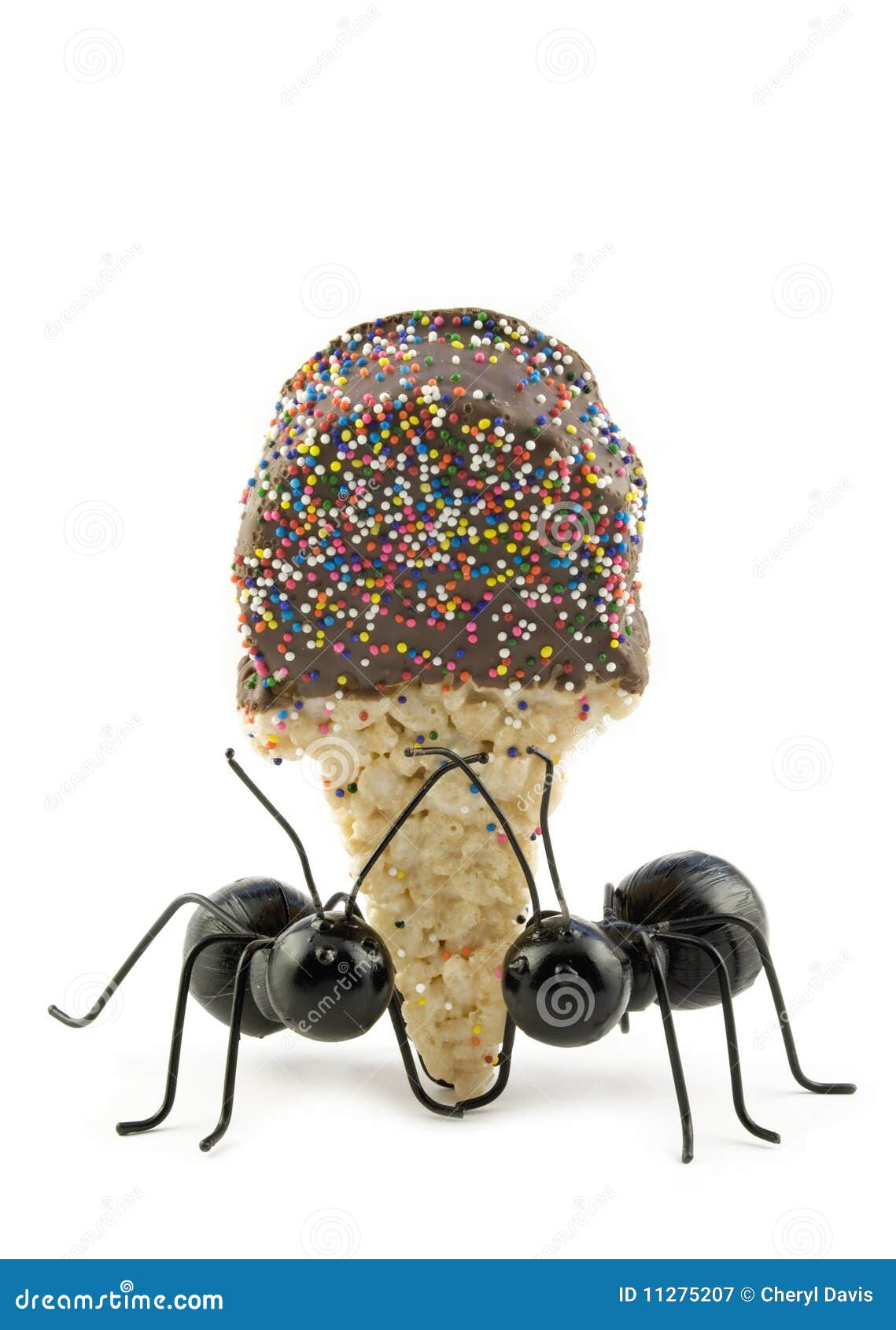 Big Black Ants On The Ground Royalty-Free Stock Photography ...