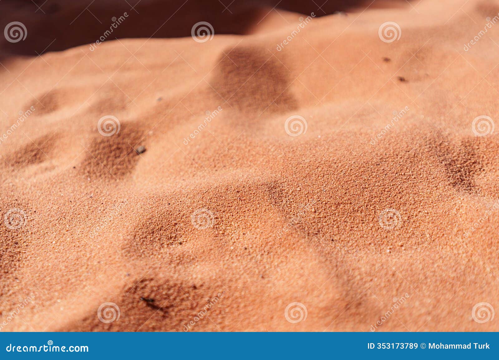 Black Ants Moving on a Wavy Red Desert Sand Surface Stock Image - Image ...