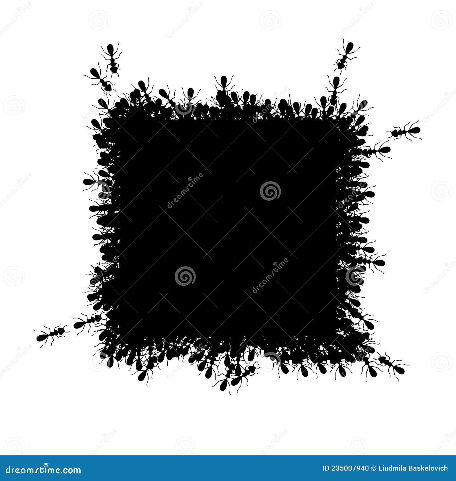 Square Ants Isolated On White Background. Vector Insects Character In ...