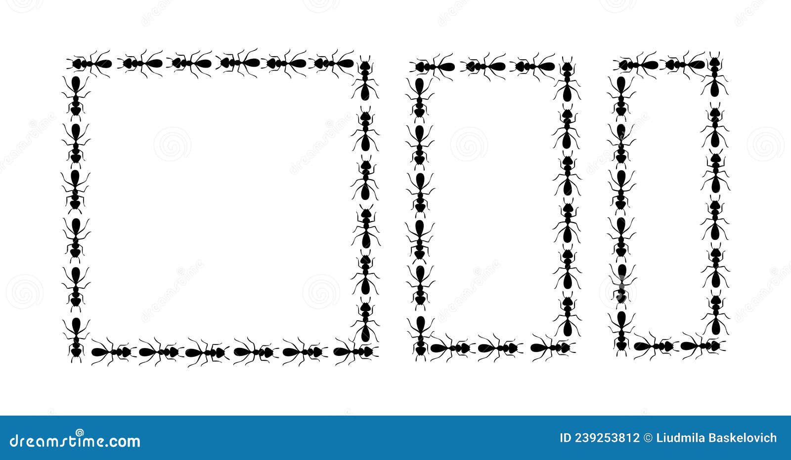 Square Ants Isolated On White Background. Vector Insects Character In ...