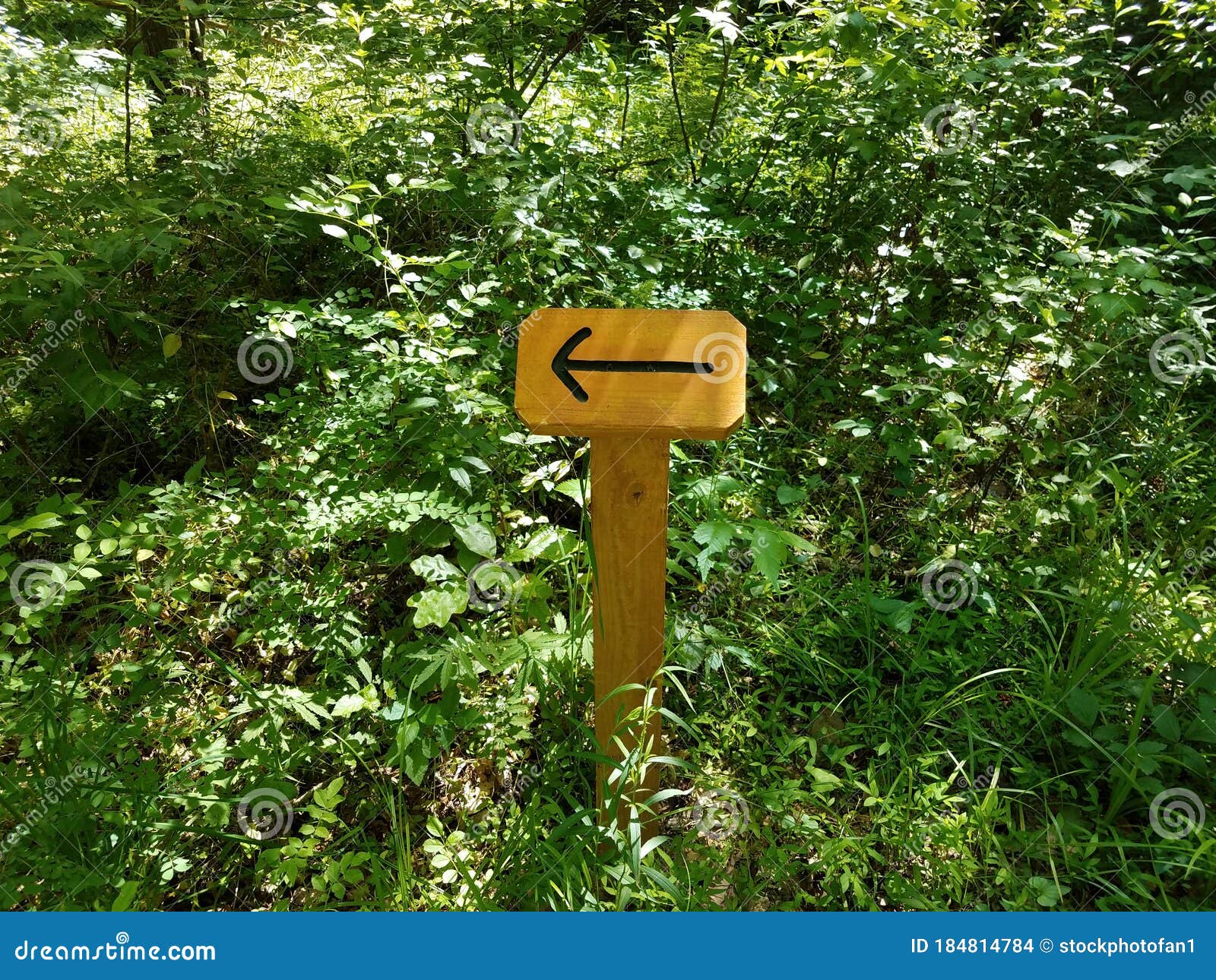 Black Arrow on Wood Sign and Green Plants Stock Photo - Image of ...