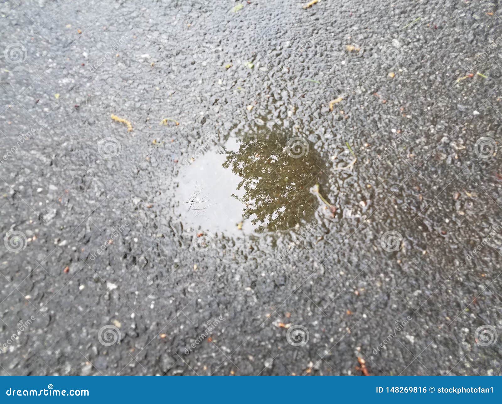Black Asphalt with Small Water Puddle with Reflection Stock Photo ...