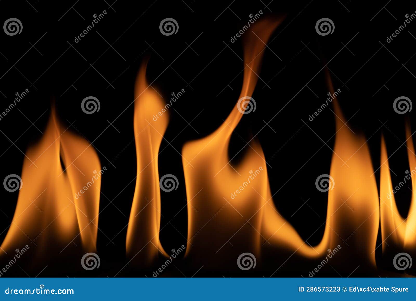 On a Black Background, Flames are Burning in the Dark Stock Image ...