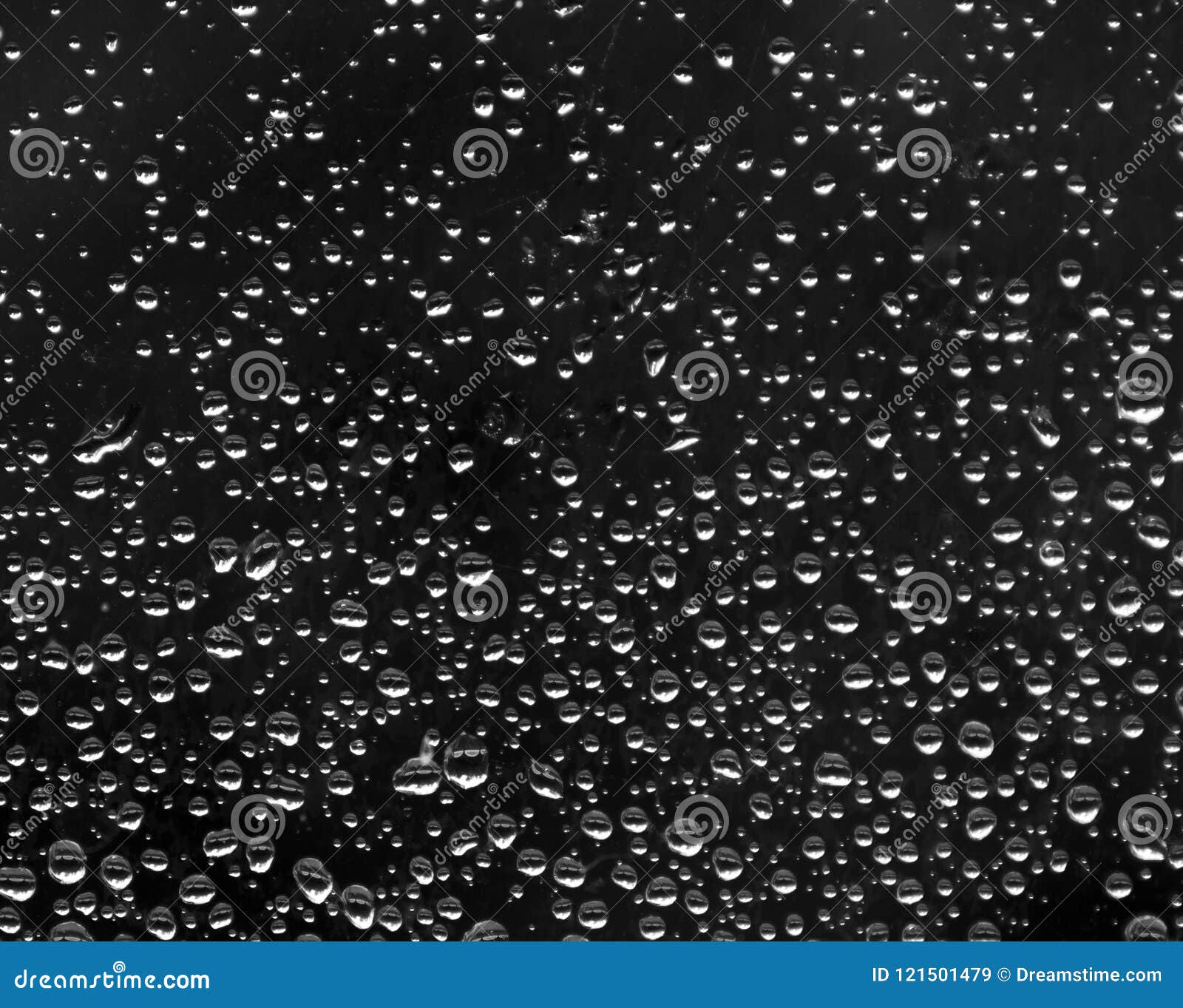 On a Black Background Many Drops of Rain Gradient Size from Big To ...