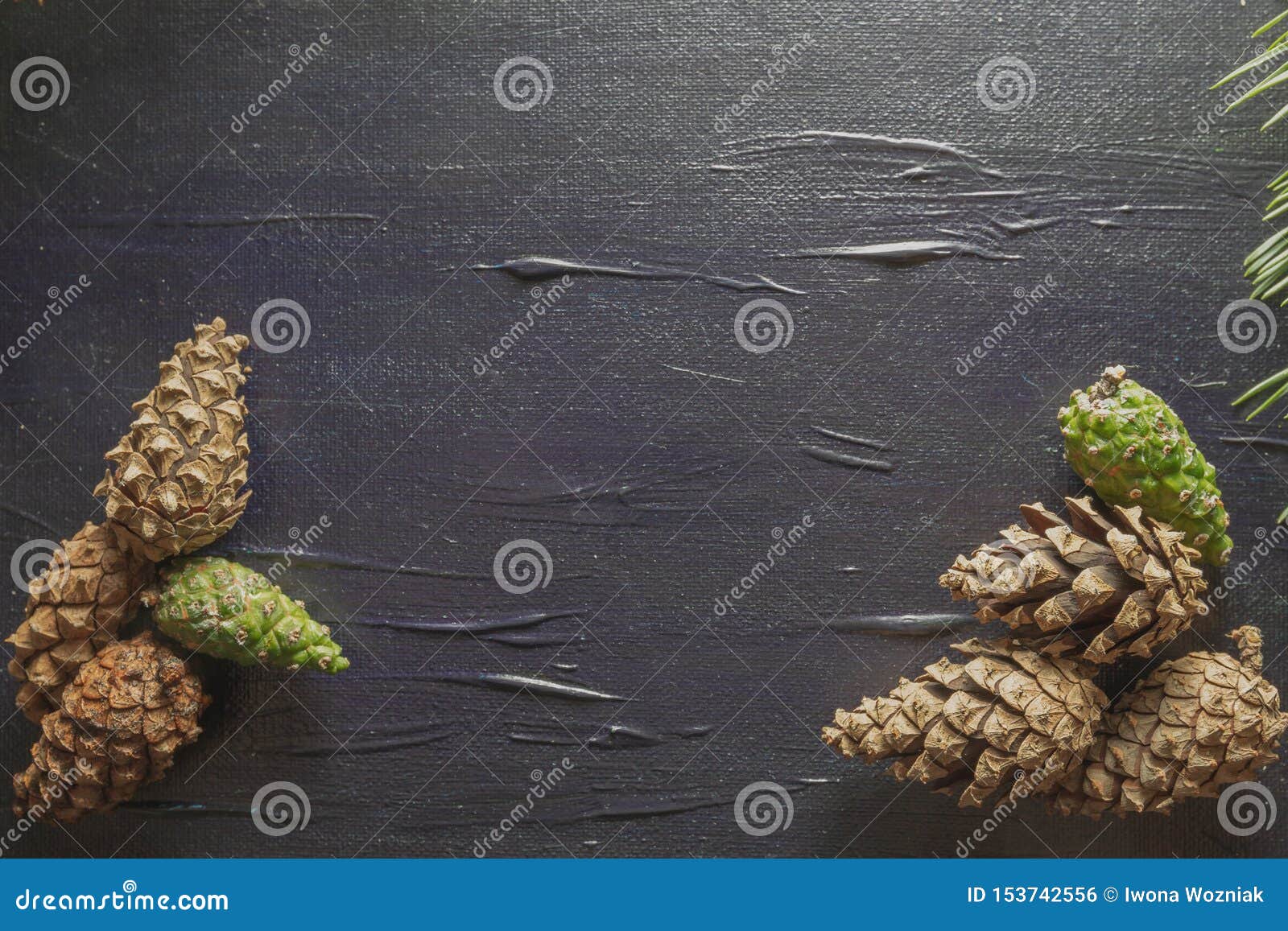 A Black Background with a Pine Motif Stock Photo - Image of flora ...