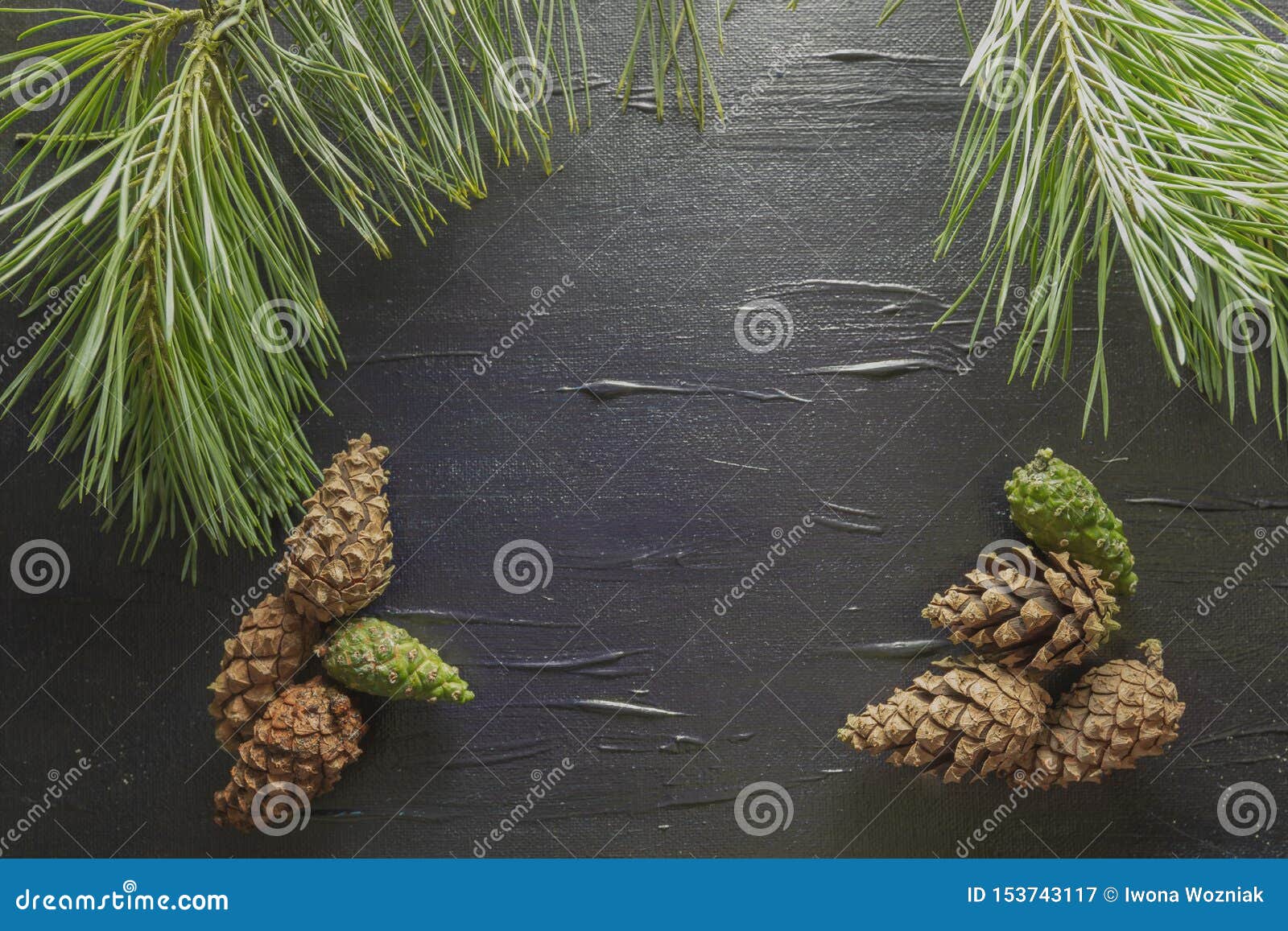 A Black Background with a Pine Motif Stock Image - Image of christmas ...