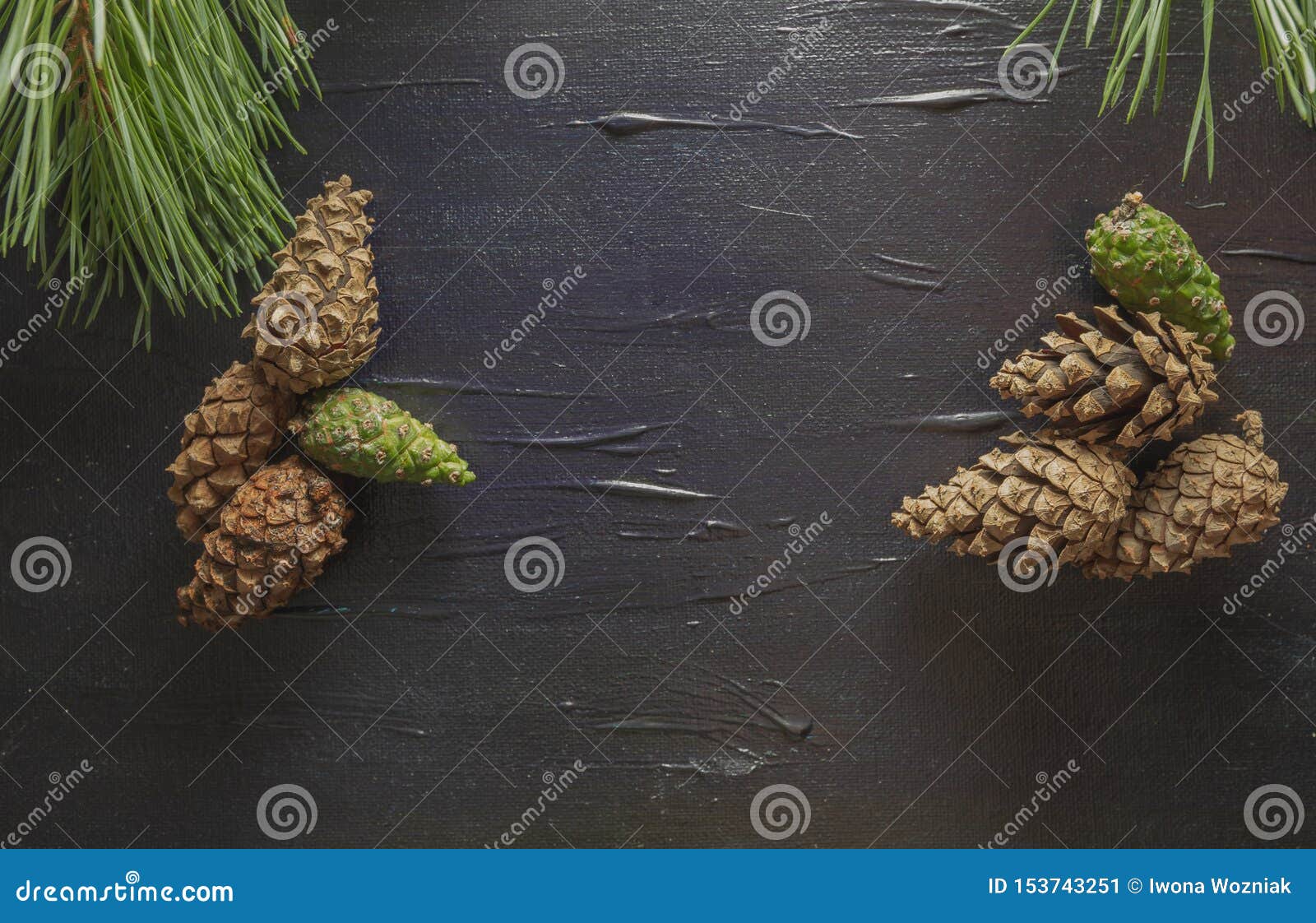 A Black Background with a Pine Motif Stock Image - Image of decor, pine ...