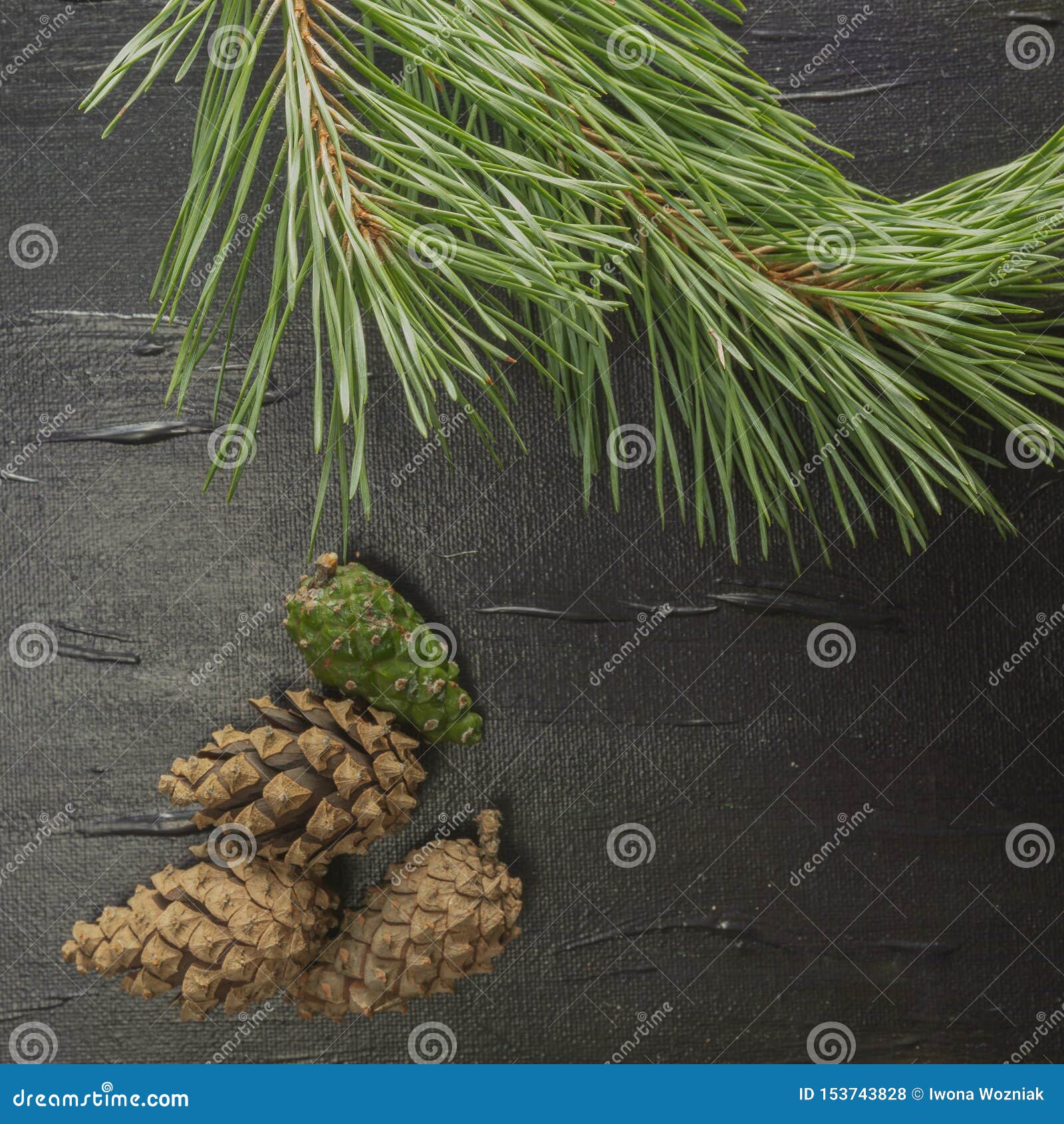 A Black Background with a Pine Motif Stock Photo - Image of angle ...