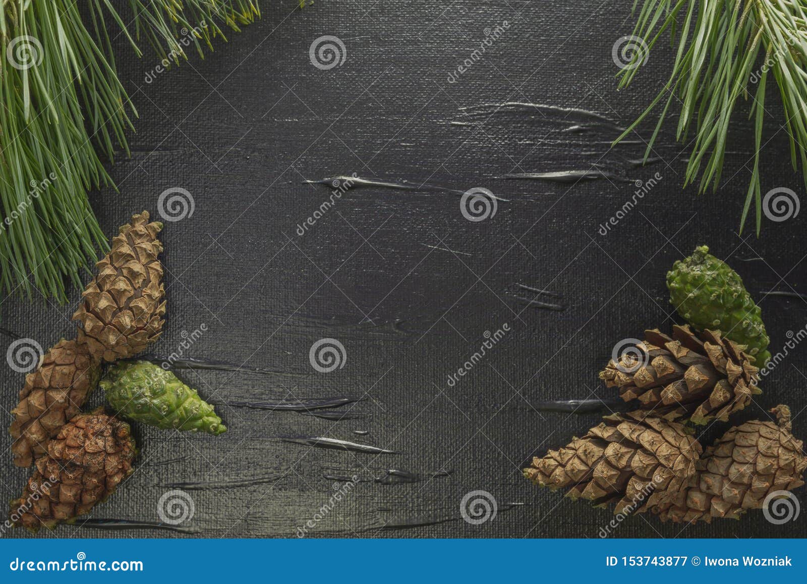 A Black Background with a Pine Motif Stock Image - Image of frame ...