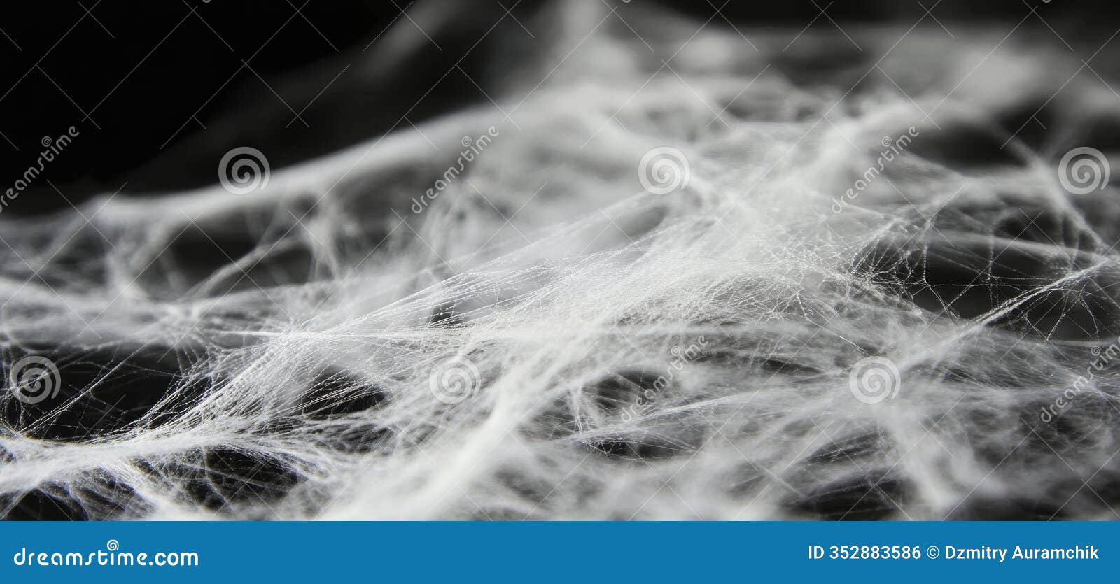 On a Black Background, Thin and Long White Spider Webs Hang from Both ...