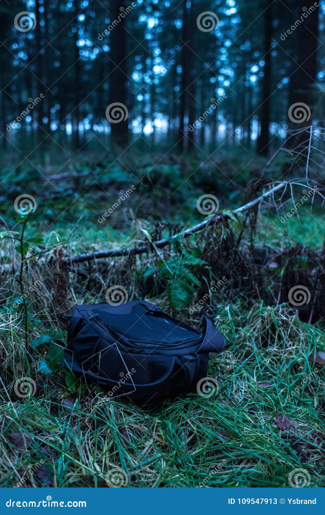Black Backpack Lying in Grass in Forest. Stock Image - Image of dark ...