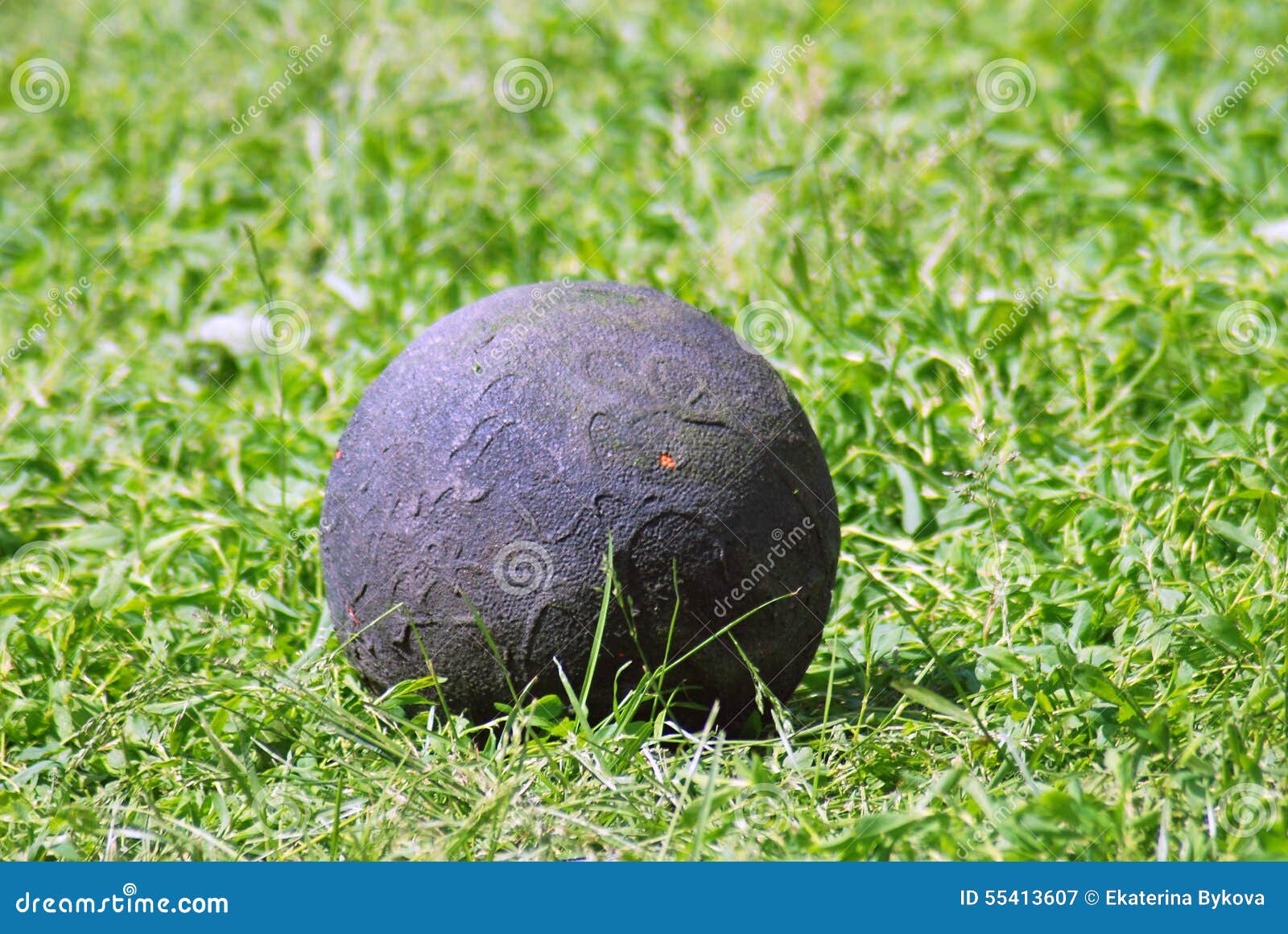 Black ball on greed grass. stock image. Image of objects - 55413607