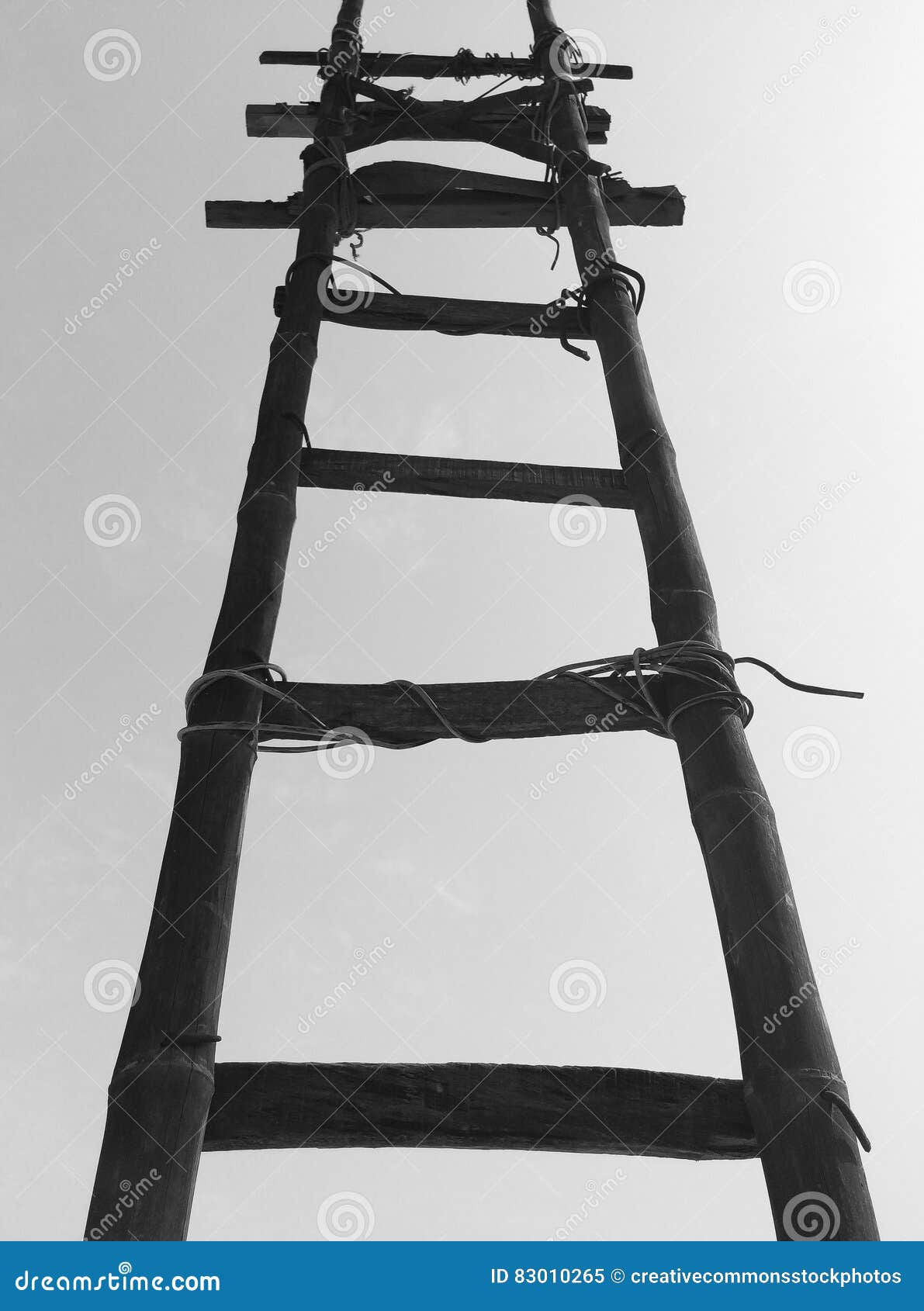 Black Bamboo Ladder During Daytime Picture. Image: 83010265