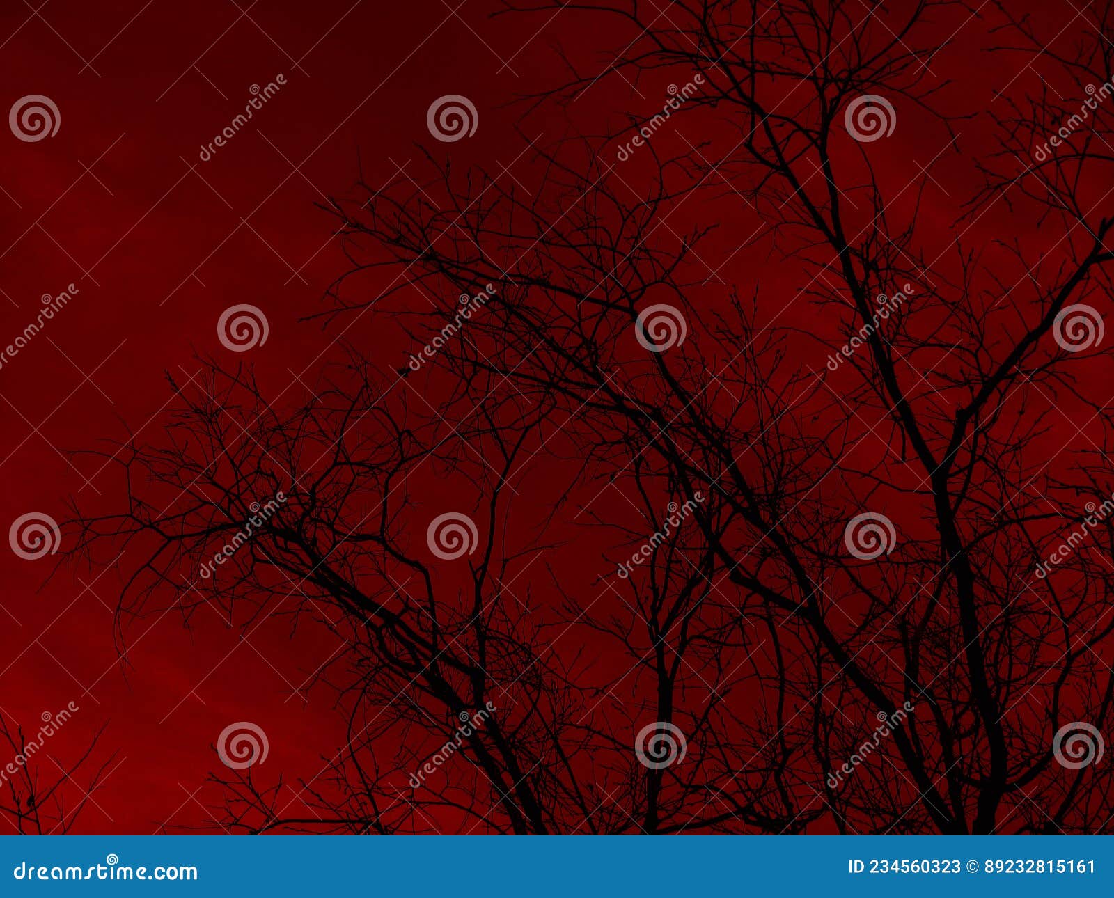 Nightmare Tree Stock Image | CartoonDealer.com #51252889