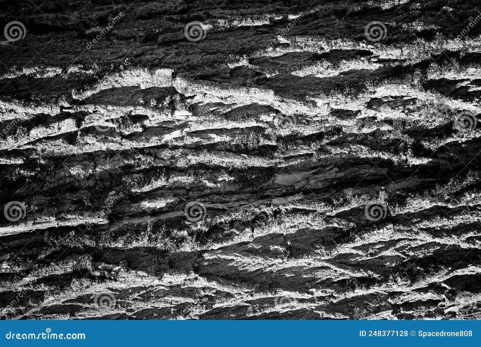 Black Bark of Tree Texture Background Stock Photo - Image of scene ...