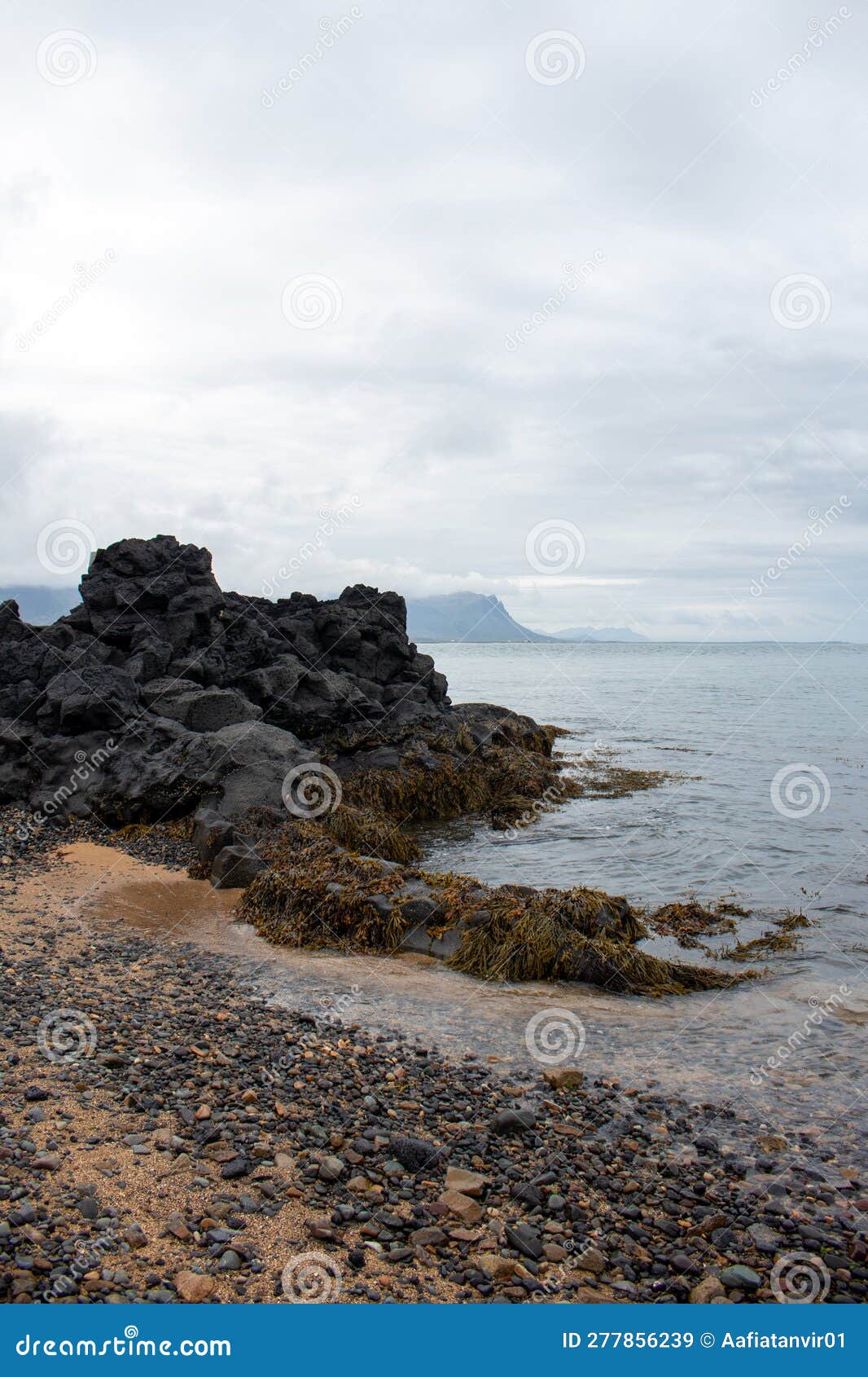 Black Basalt Rock Formations on the Shore of Iceland Stock Image ...