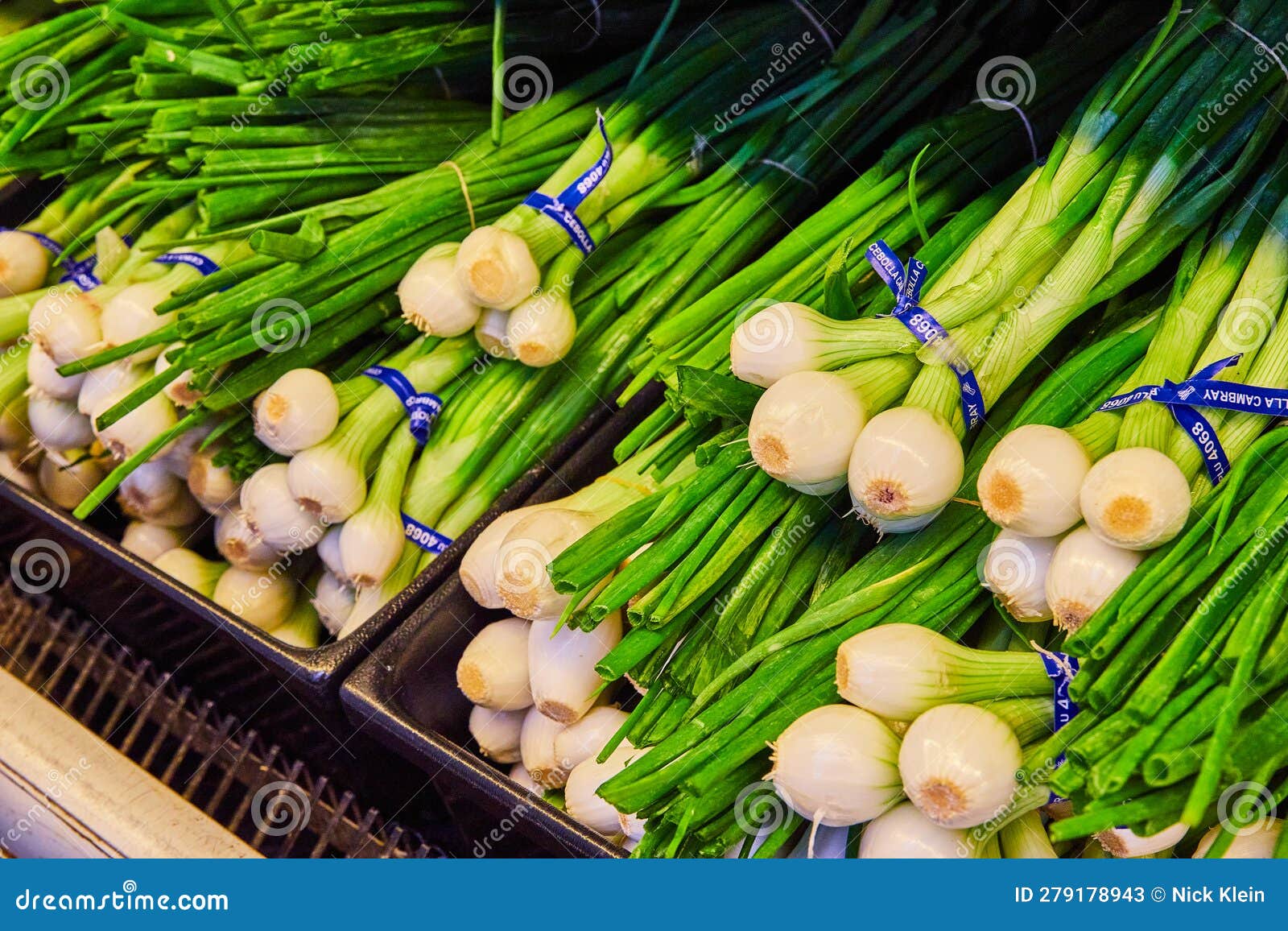 Black Baskets of Spring Onions with Bulbs Background Asset Stock Image ...