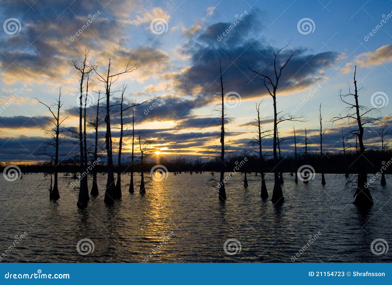 Black Bayou Sunset stock image. Image of water, trees - 21154723