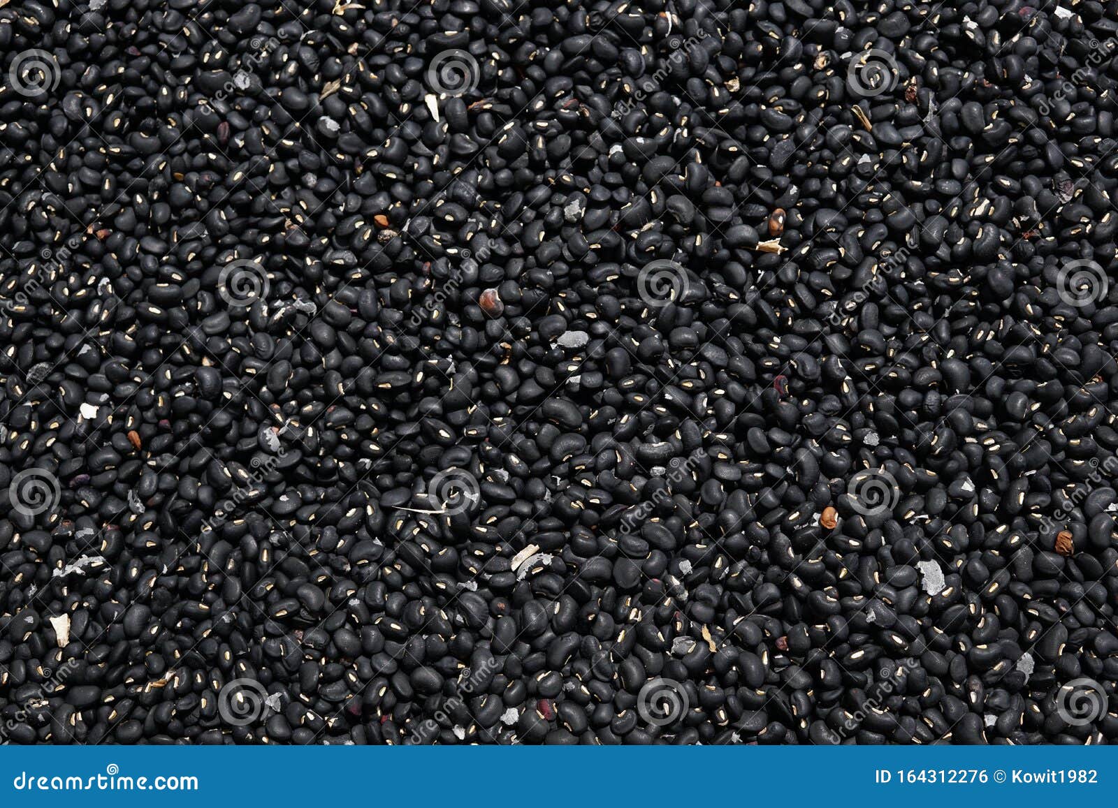 Black Bean and Seed Pod, is Raw Food Stock Photo - Image of fresh ...