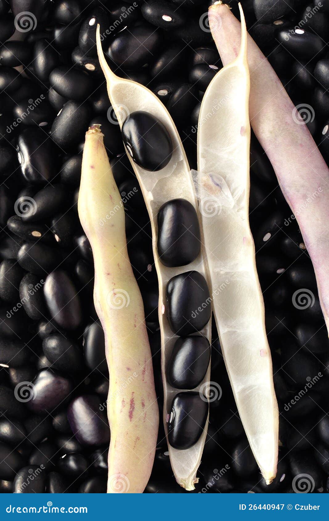 Black beans stock image. Image of pods, macro, vegetable - 26440947