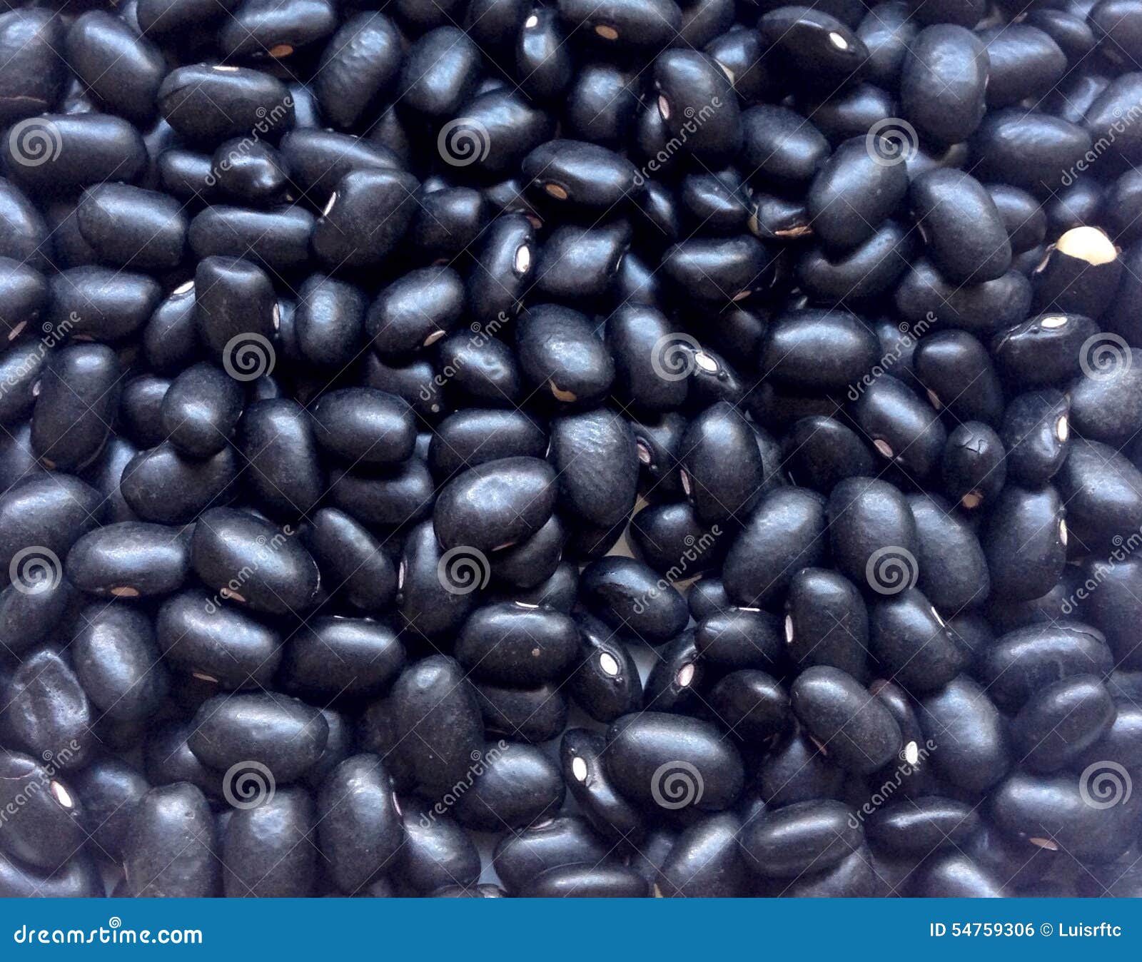 Black beans stock photo. Image of grains, dark, texture - 54759306