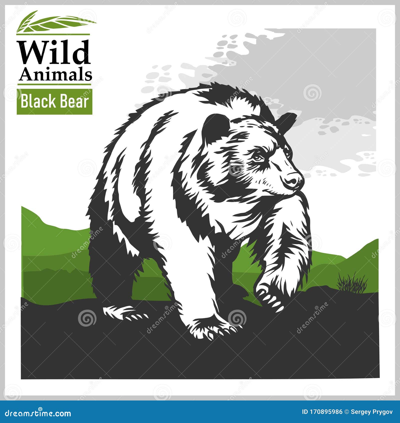 Black Bear - Vector Illustration in Realistic Style Stock Vector ...