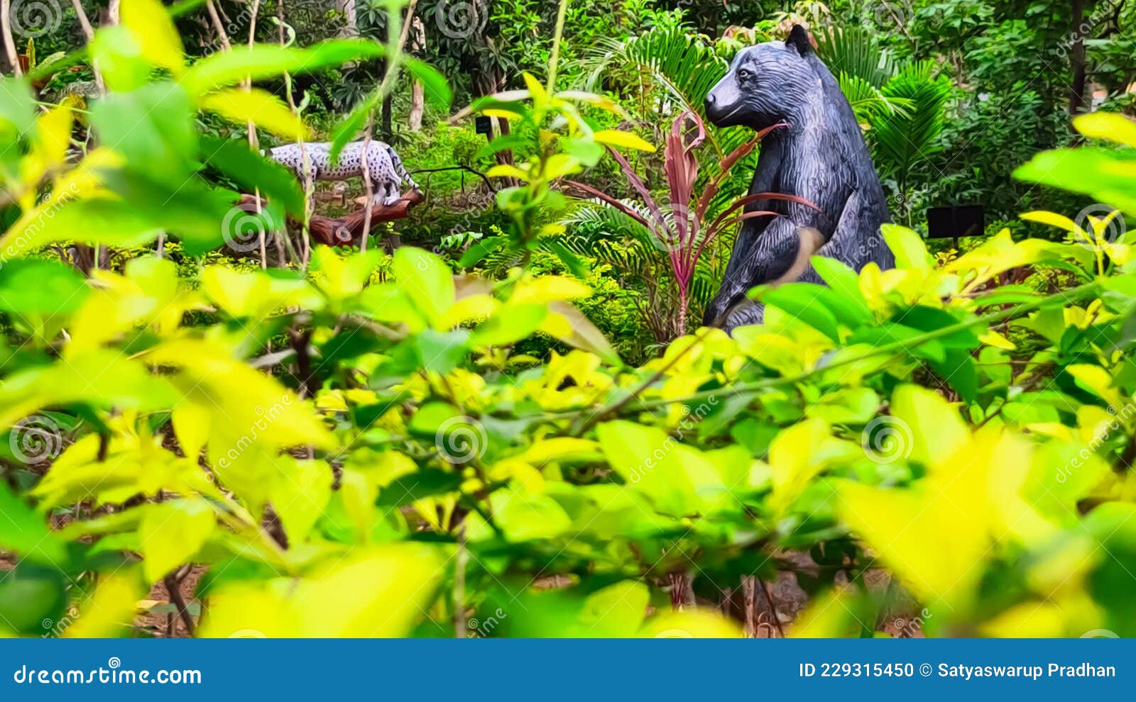 A Black Bear Statue in the Jungle Stock Photo - Image of bird, woodland ...