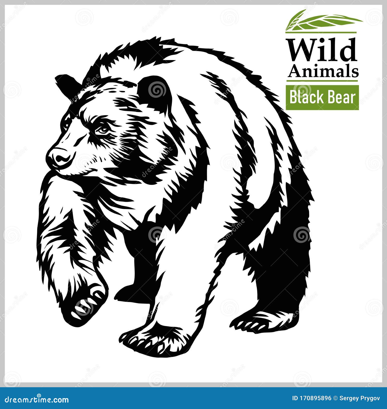 Black Bear - Vector Illustration in Realistic Style Stock Vector ...