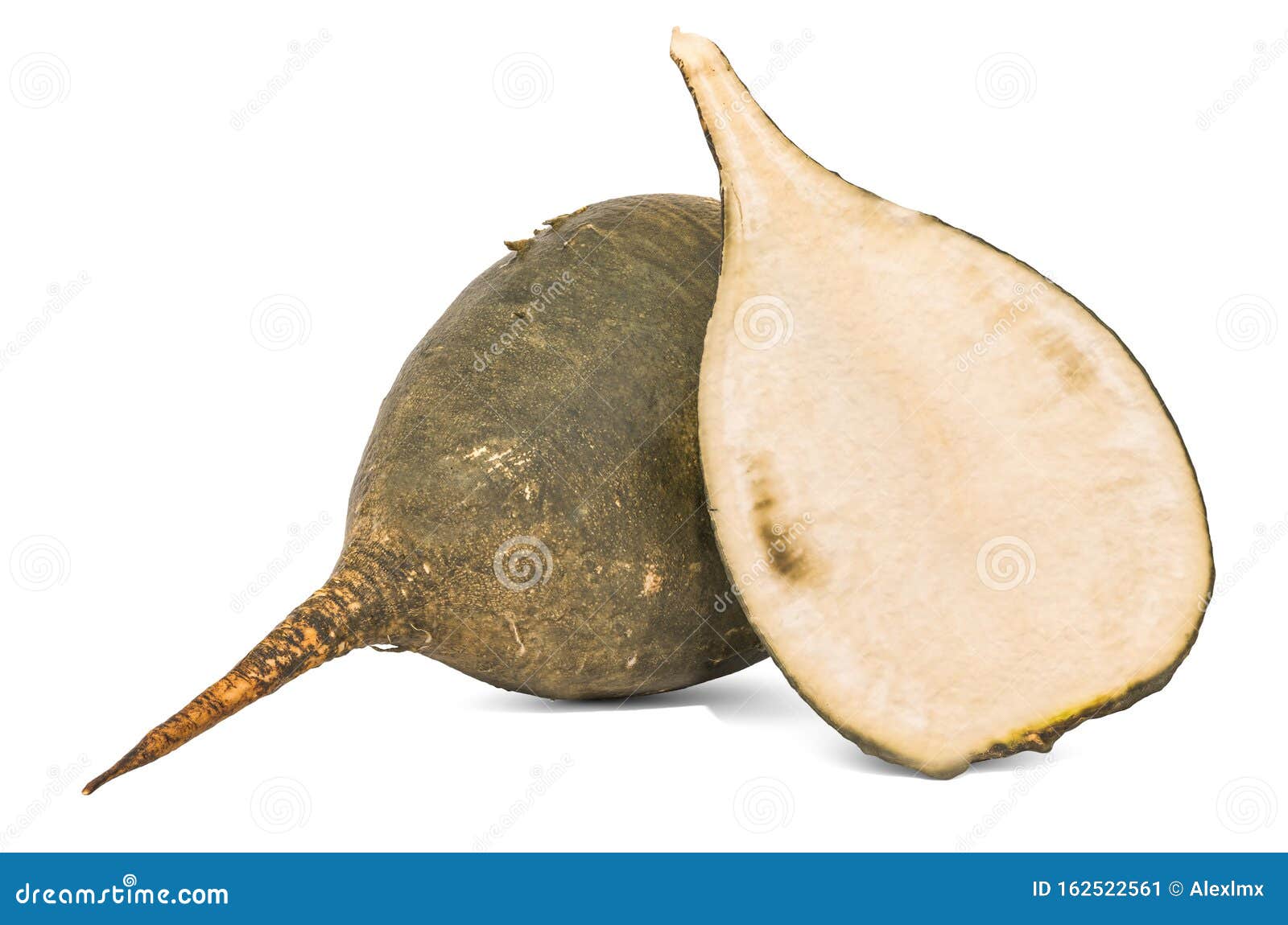 Black Big Radish 3d Rendering with Realistic Texture Stock Illustration ...