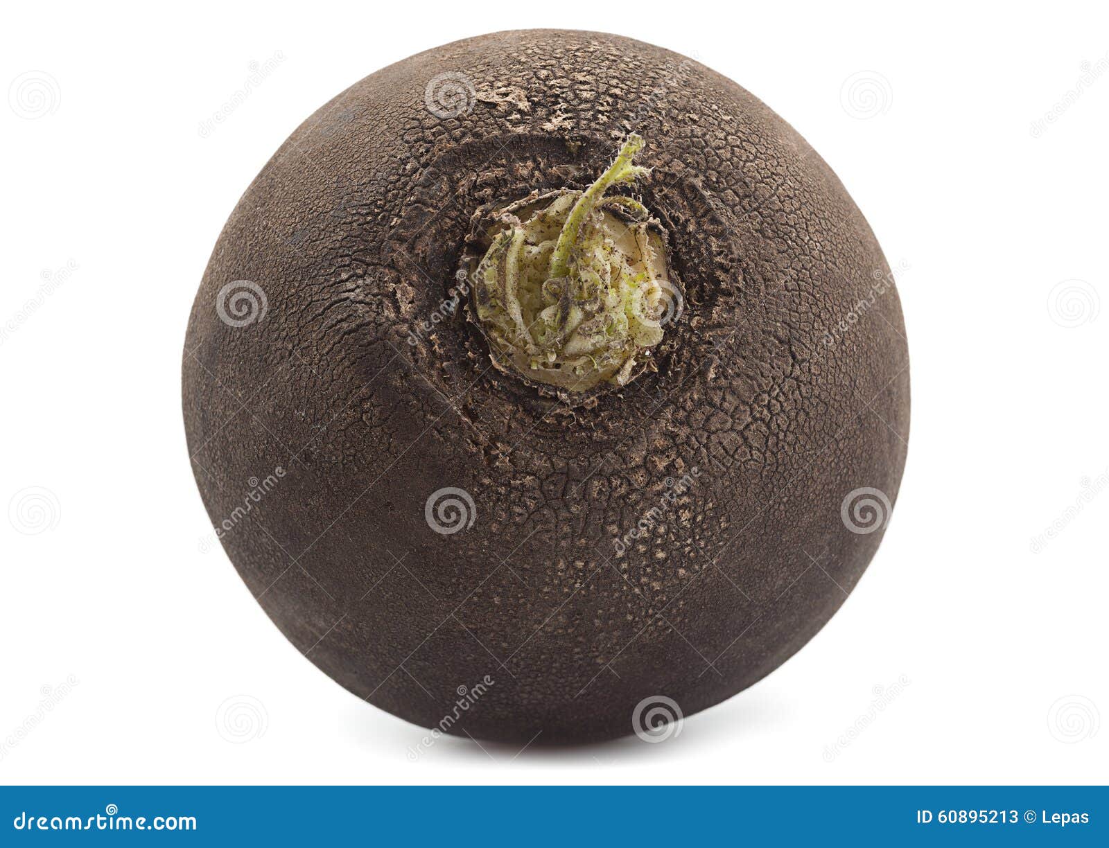 Black big radish stock image. Image of root, bulb, natural - 60895213