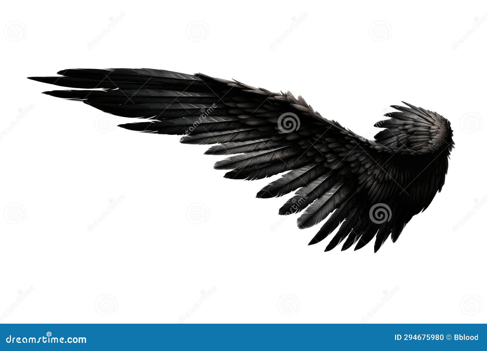 Black Bird or Angel Wing Isolated on White Background Stock Illustration - Illustration of ...
