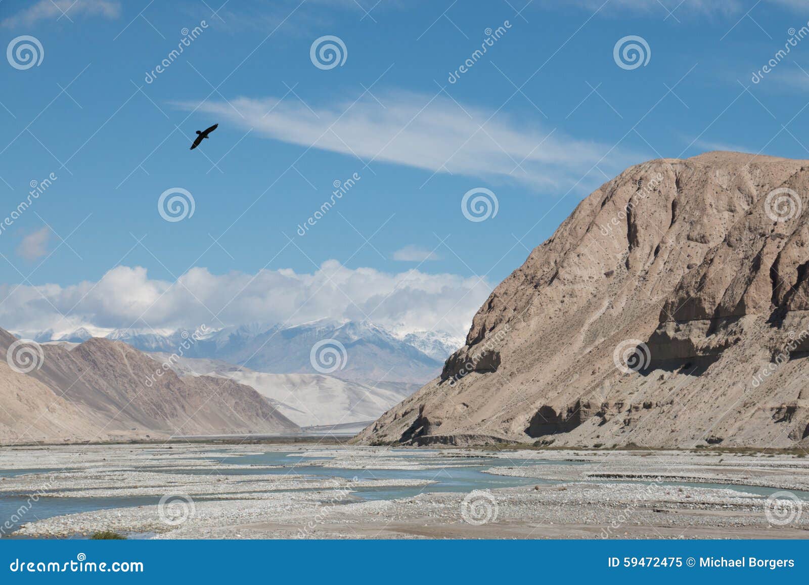 Black Bird Flying Over River Valley Stock Image - Image of valley ...