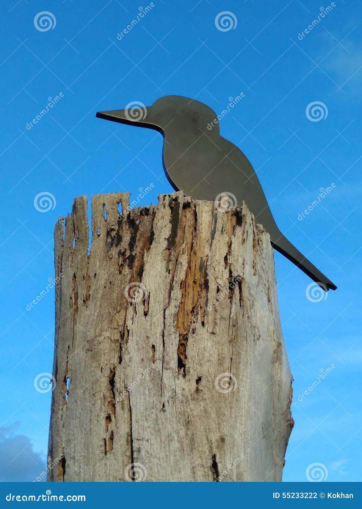 Black Bird on Weathered Tree Stump Stock Photo - Image of nature ...