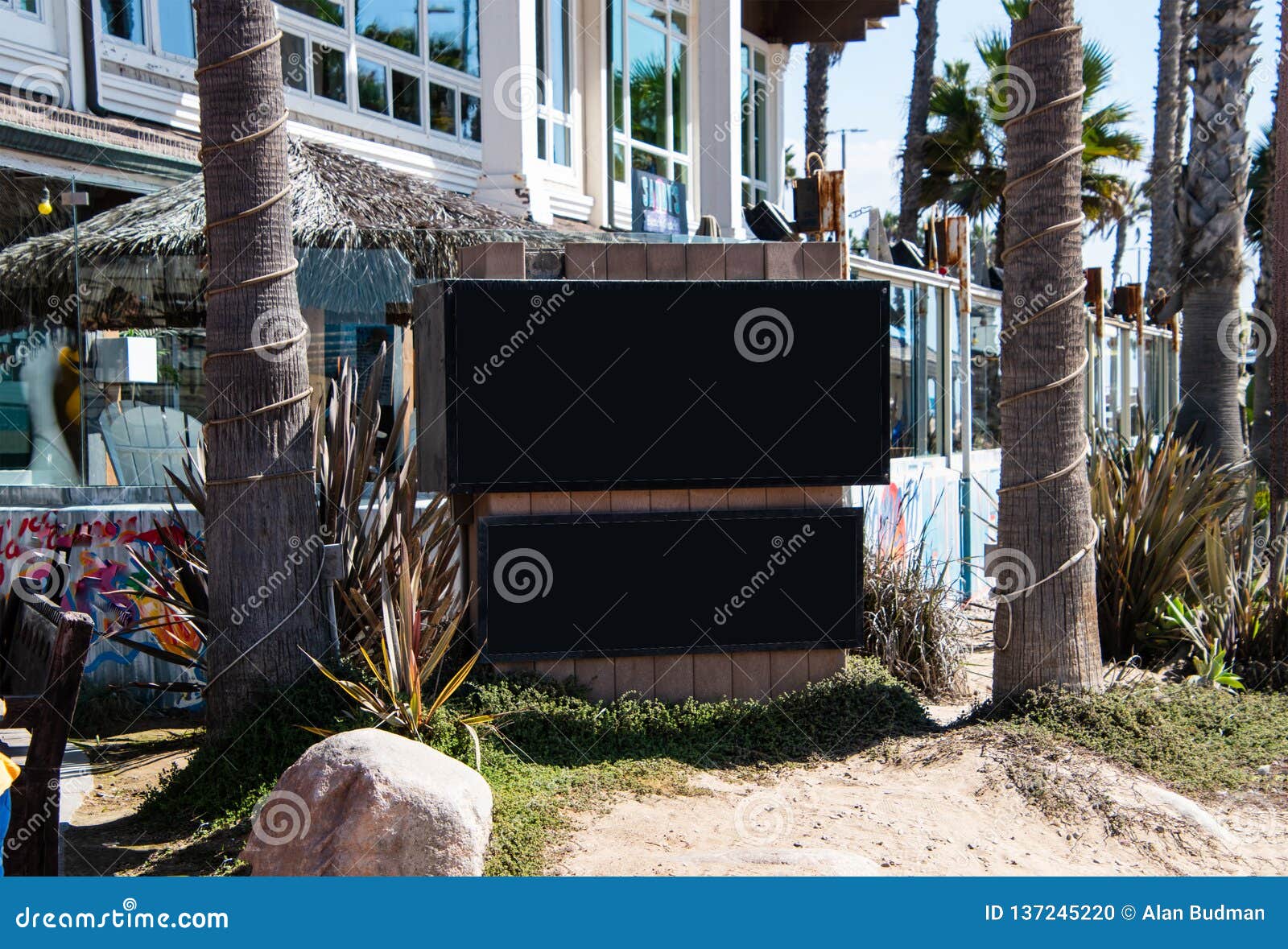 Black Blank Signs between Two Palm Tree Trunks on a Small Beach Like ...