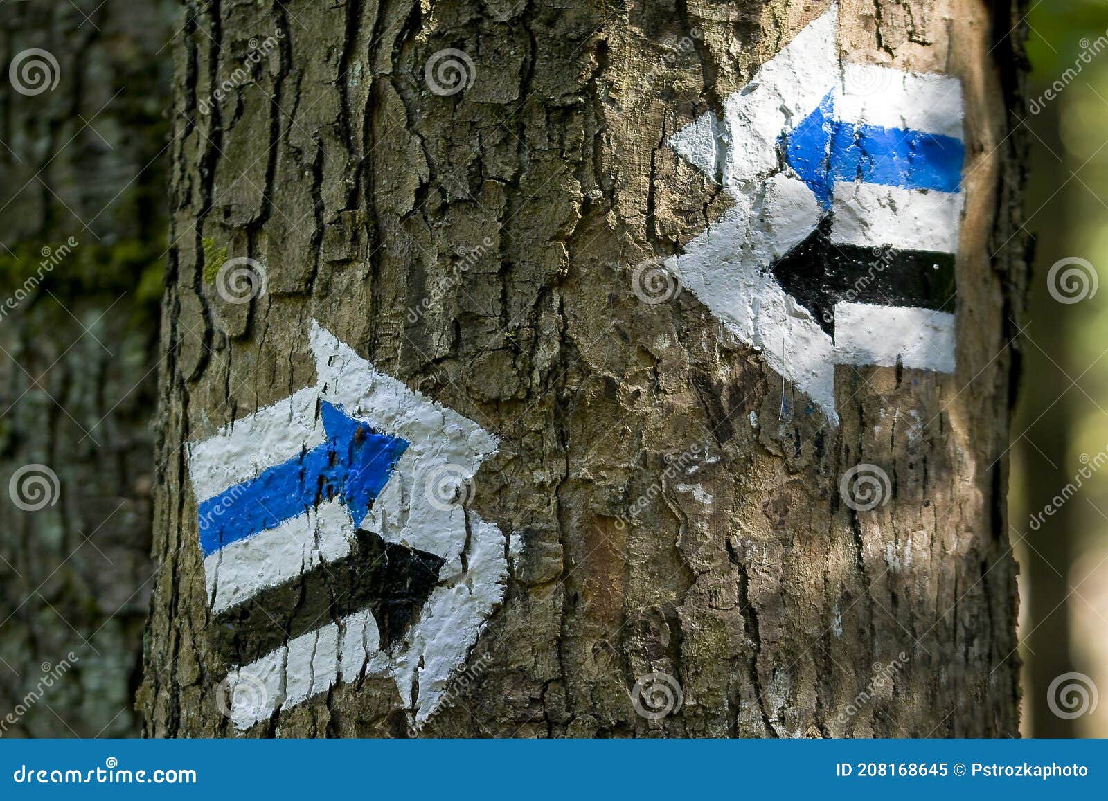 Trail Markings With Directions For The Orientation Of The Tourists ...