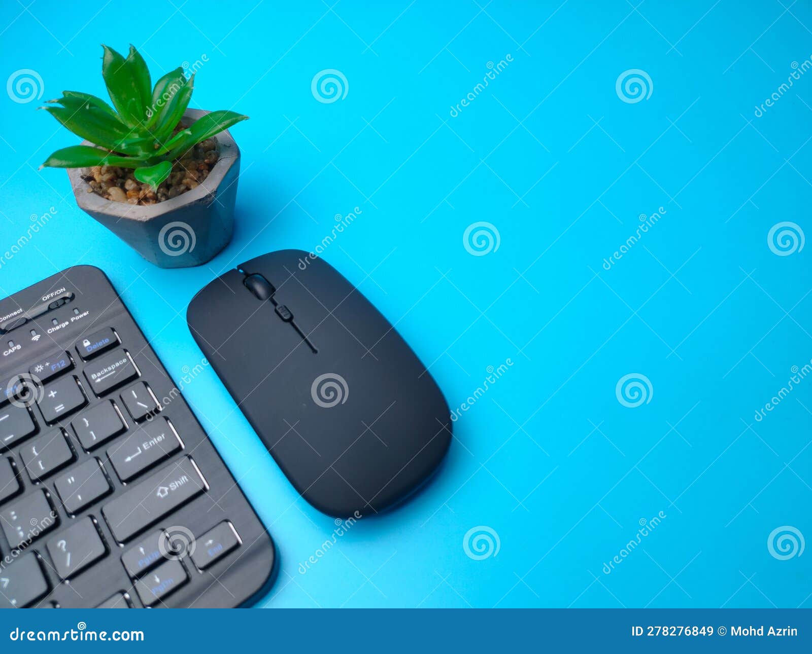 Black Bluetooth Wireless Keyboard and Wireless Mouse with Green Plant ...