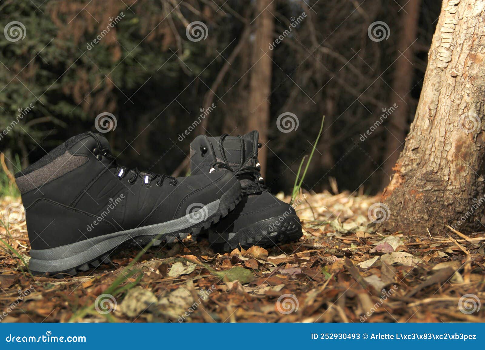 Black Boots in the Dark Forest between Trees Ready for Hiking in the ...