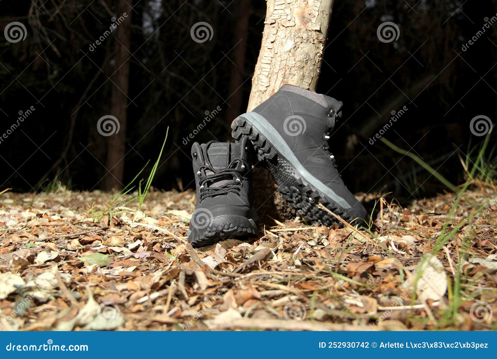 Black Boots in the Dark Forest between Trees Ready for Hiking in the ...