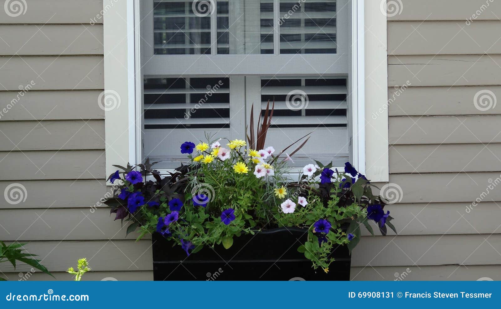 Black Box stock image. Image of shutters, house, board - 69908131