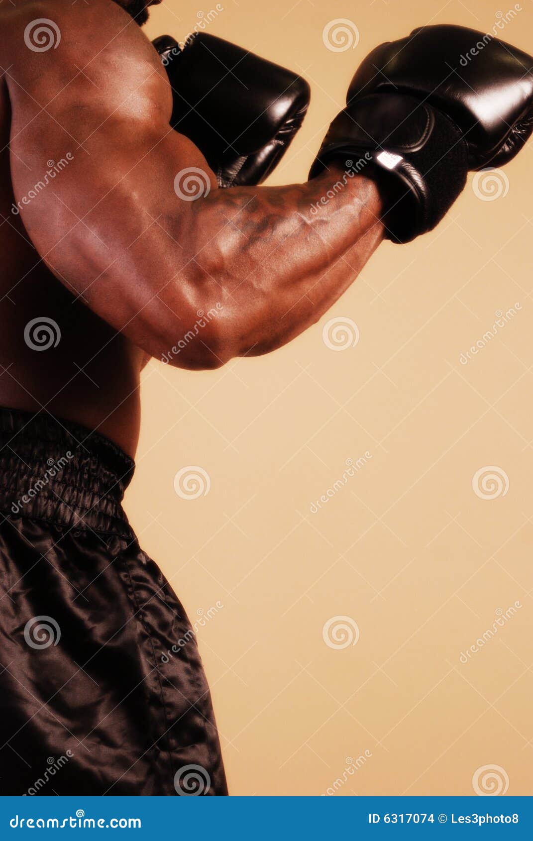 Black boxer stock photo. Image of fitness, gloves, masculine - 6317074